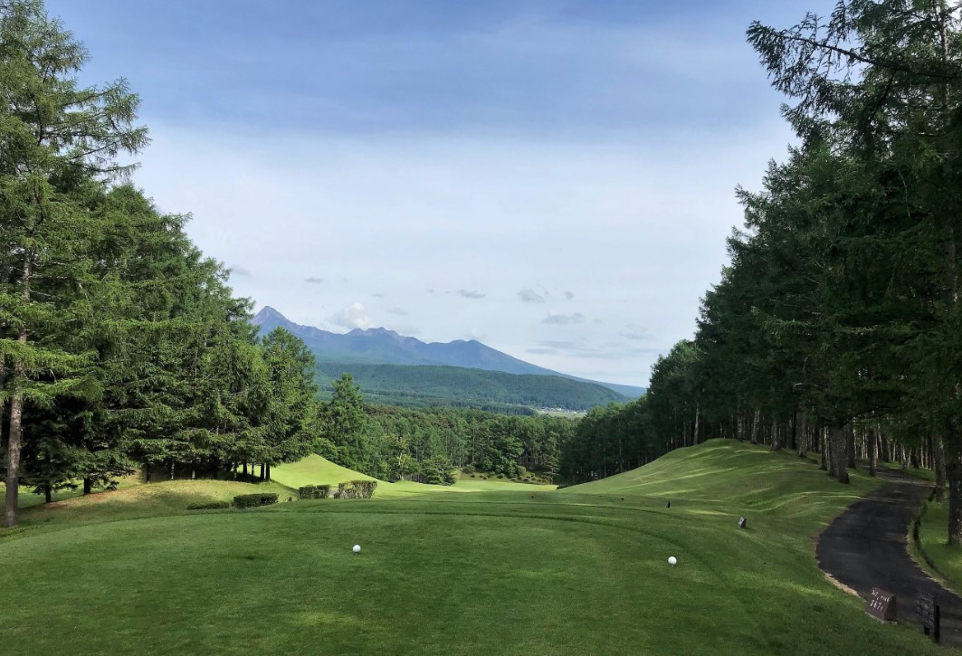 アルピコホールディングス（297A）のIPO初値予想と上場概要紹介 | かぶリッジ