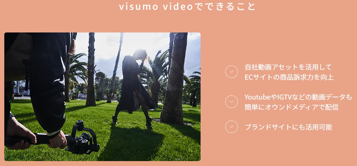 visumo＜ビジュモ＞（303A）のIPO初値予想と上場概要紹介 | かぶリッジ